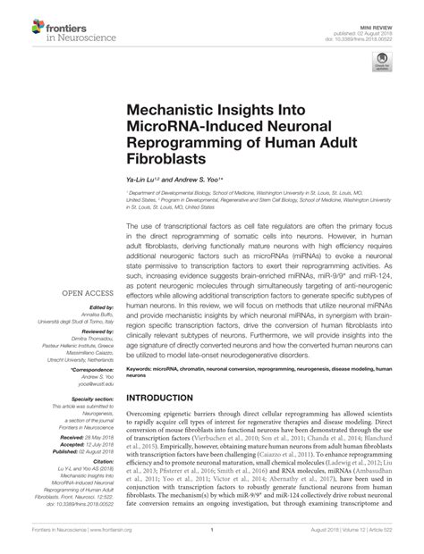 Image result for Neuronal Reprogramming