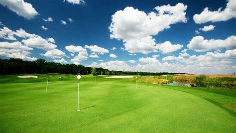 Image result for Best Golf Simulator Setup