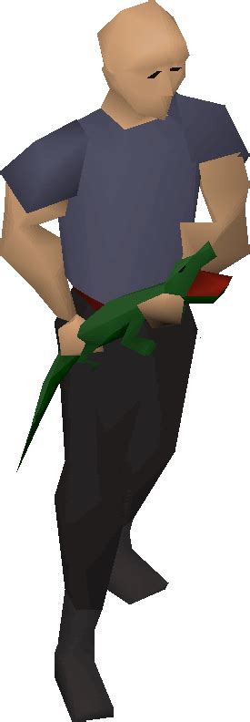 Image result for How to Catch Swamp Lizards OSRS