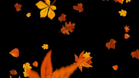 Image result for One Leaf Falling Image