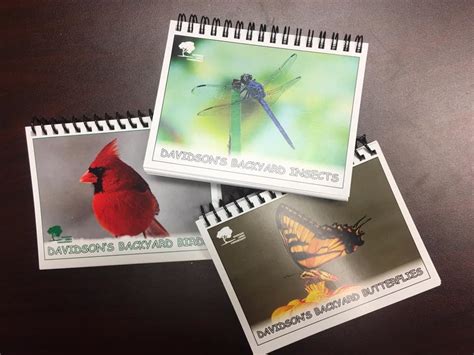 Image result for Backyard Book