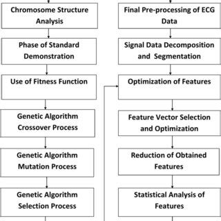 Image result for ECG Dataset Feature Extraction