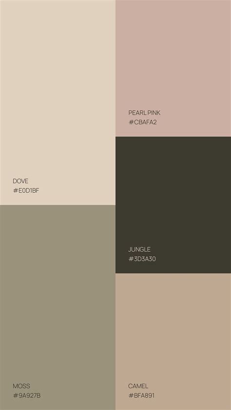 Image result for Color Key Natural Light