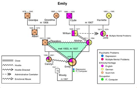 Image result for How to Develop a Genogram