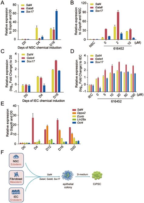 Image result for Reprogramming Stage Gene
