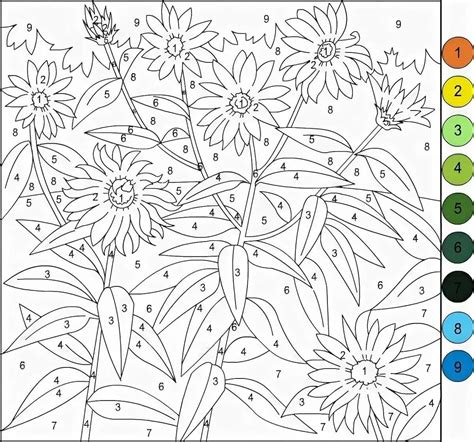 Image result for Adult Coloring Pages by Numbers Printable