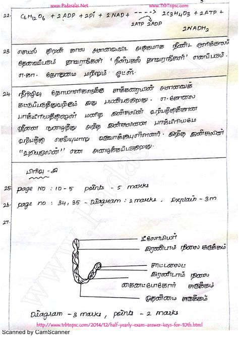 Image result for 12th Botany 5th Lesson Question Answer In Tamil