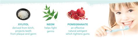 Image result for Bubble Gum Toothpaste