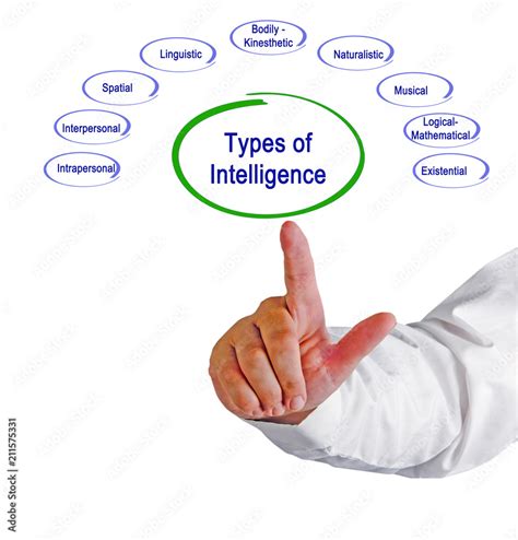 Image result for Type of Intelligence Explain