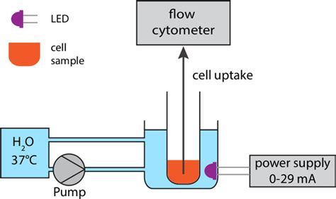 Image result for Lighting System Process Flow Diagram