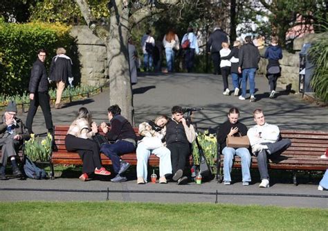 Image result for Springing Spring