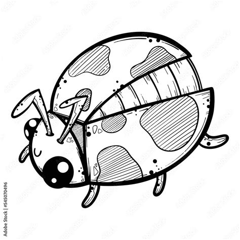 Image result for Ladybug Line Drawing