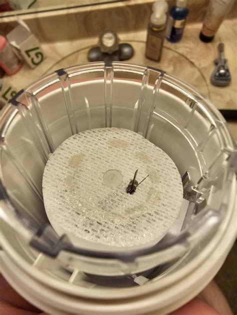 Image result for Dexcom Sensor Have a Needle