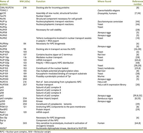 Image result for Nuclear Pore Complex Easy Struture