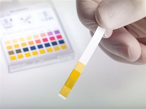 Image result for Lumen Learning pH Level