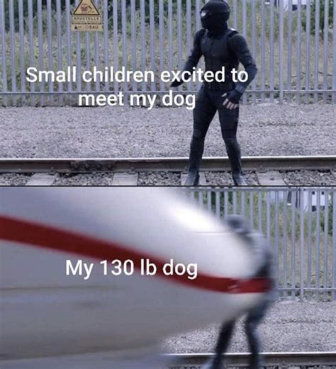 Image result for Gotta Go Fast Go