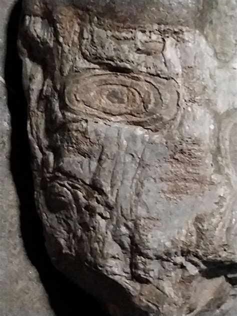 Image result for Alien Head Found