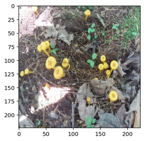 Image result for Preloader Data Related