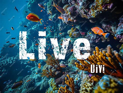 Image result for Live Stream Text Background