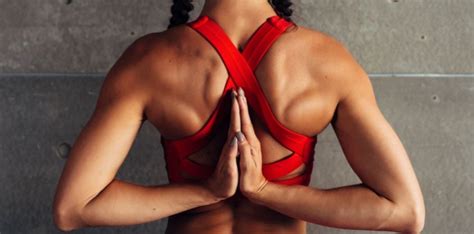 Image result for Upper Back Muscles Exercises