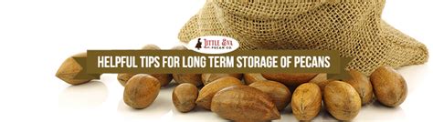 Image result for How to Store Pecans