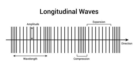 Image result for Longitudinal Wave Diagram Labeled