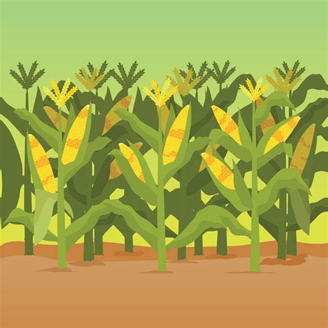 Image result for Drawing Corn Stalks