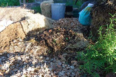 Image result for How Do You Build a Compost Pile