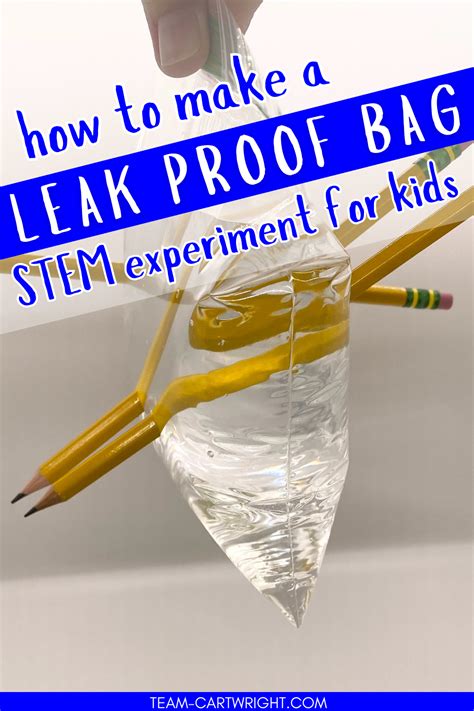 Image result for The Exploding Bag