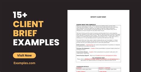 Image result for Client Brief Examples