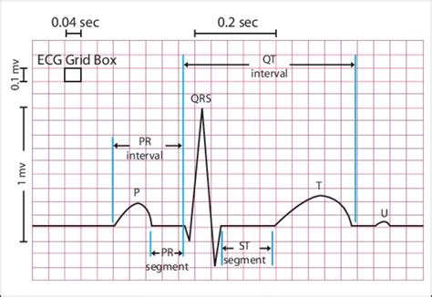 Image result for Normal ECG Range Chart