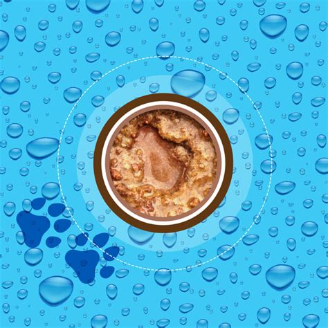 Image result for Every Drop Counts