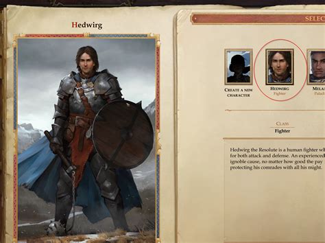 Image result for Pathfinder Kingmaker Classes