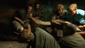 Image result for Sick Python Joke