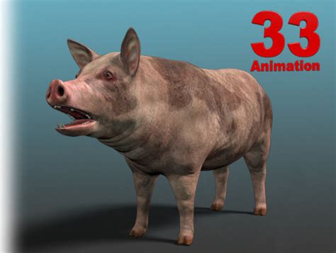 Image result for Unity Android Pig 2D