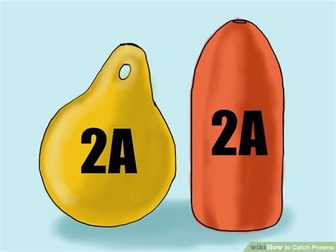 Image result for Catching Prawns