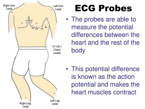 Image result for P3 Exam Tips
