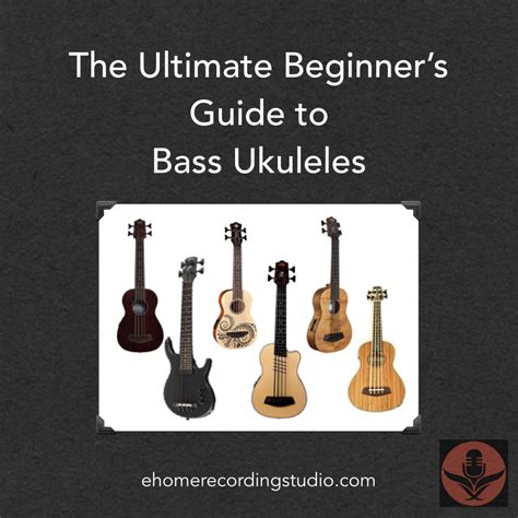 Image result for One String Bass Ukulele