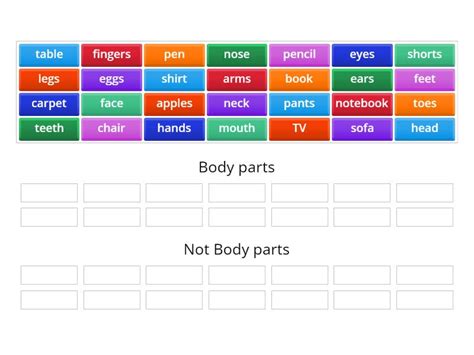 Image result for Body Parts Classifier Example