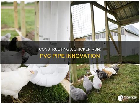 Image result for PVC Pipe Chicken Run