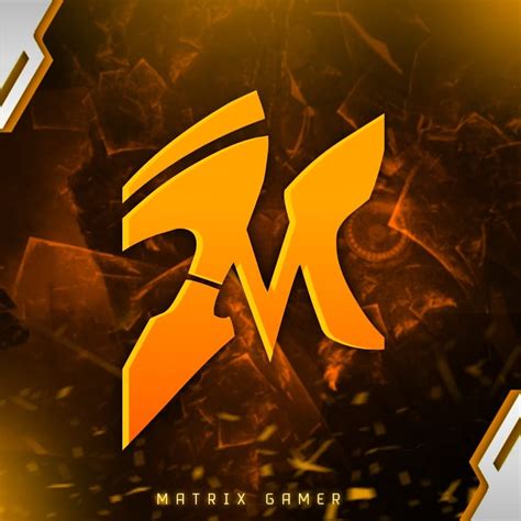 Image result for Matrox Gamer