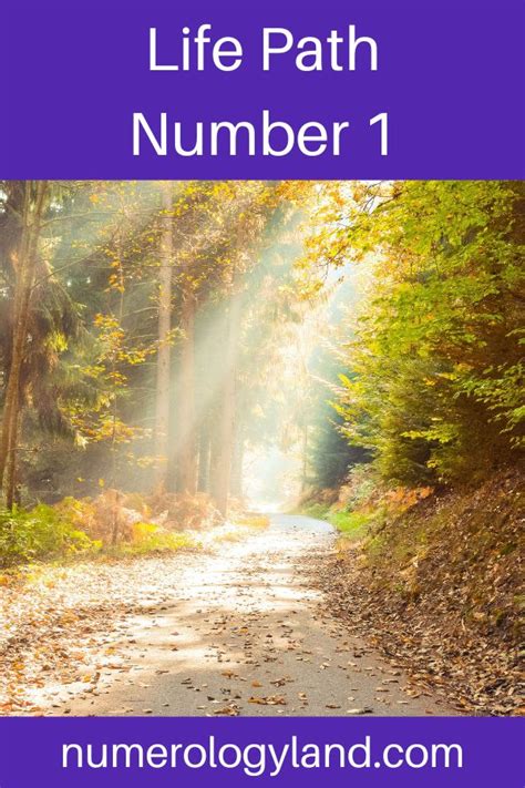 Image result for Life Path 1 Symbol