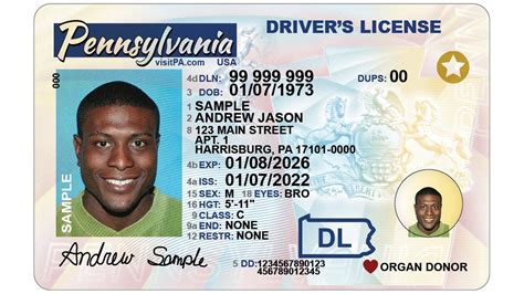 Image result for License Card Code 10