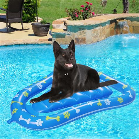 Image result for Inflatable Dog Pool