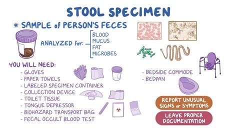 Image result for Collecting Stool Sample