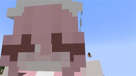 Image result for Scopic Mod Minecraft