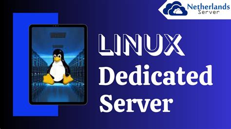 Image result for Source Dedicated Server