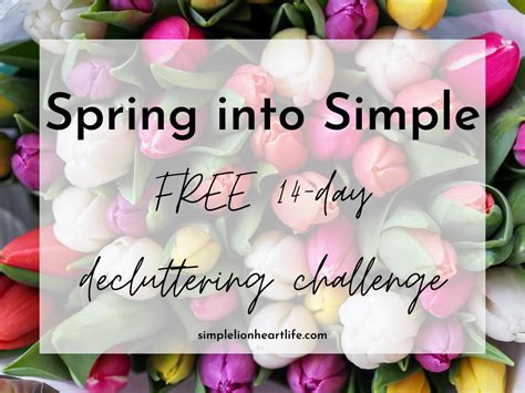 Image result for Simple Declutter