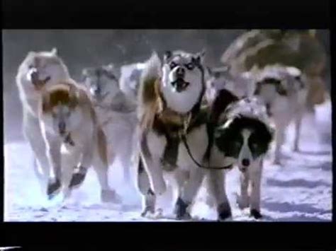 Image result for Snow Dogs 2002 Trailer