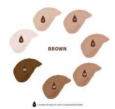 Image result for Icing Color Guide